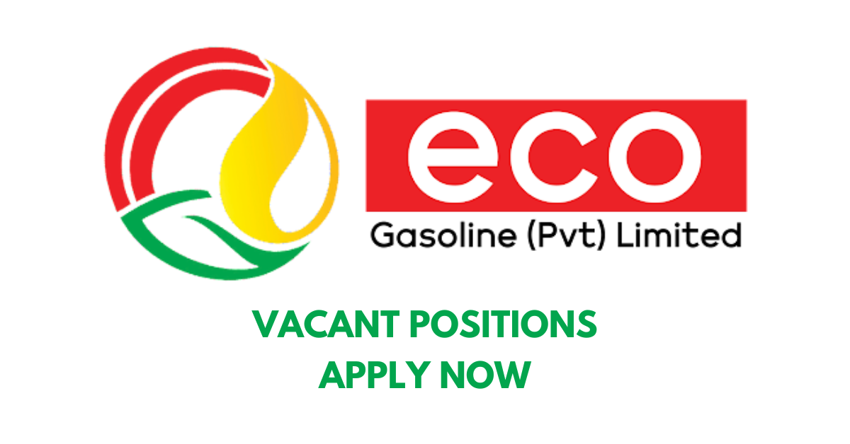 Eco Gasoline (Pvt) Limited Jobs Sr Manager Sales Retail Development
