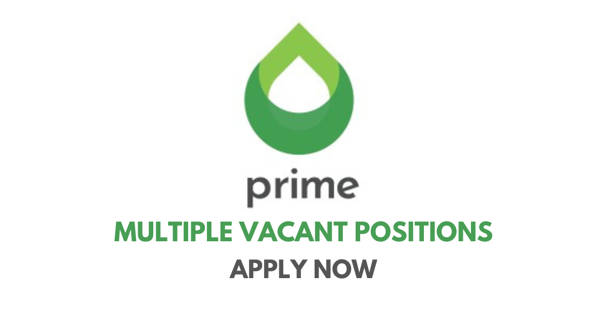 Prime Pakistan Limited Jobs January 2025