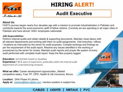 Fast Cables Limited Jobs Audit Executive