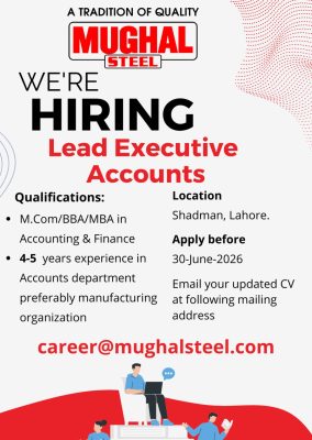 Mughal Steel Jobs Lead Executive Accounts